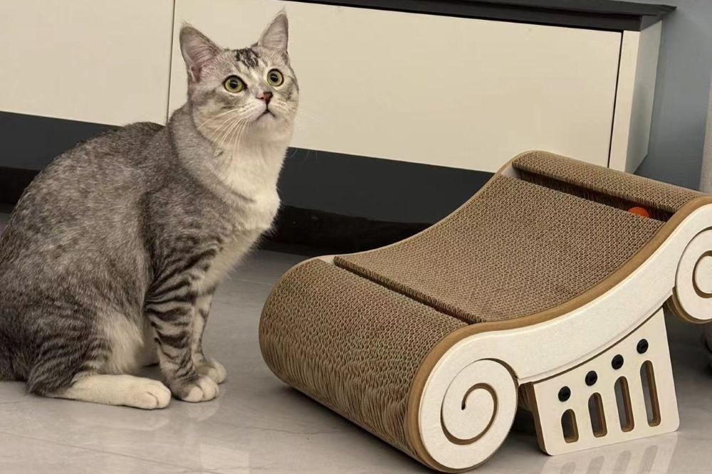 How to Introduce New Cat Furniture Without Stress – ArkPet