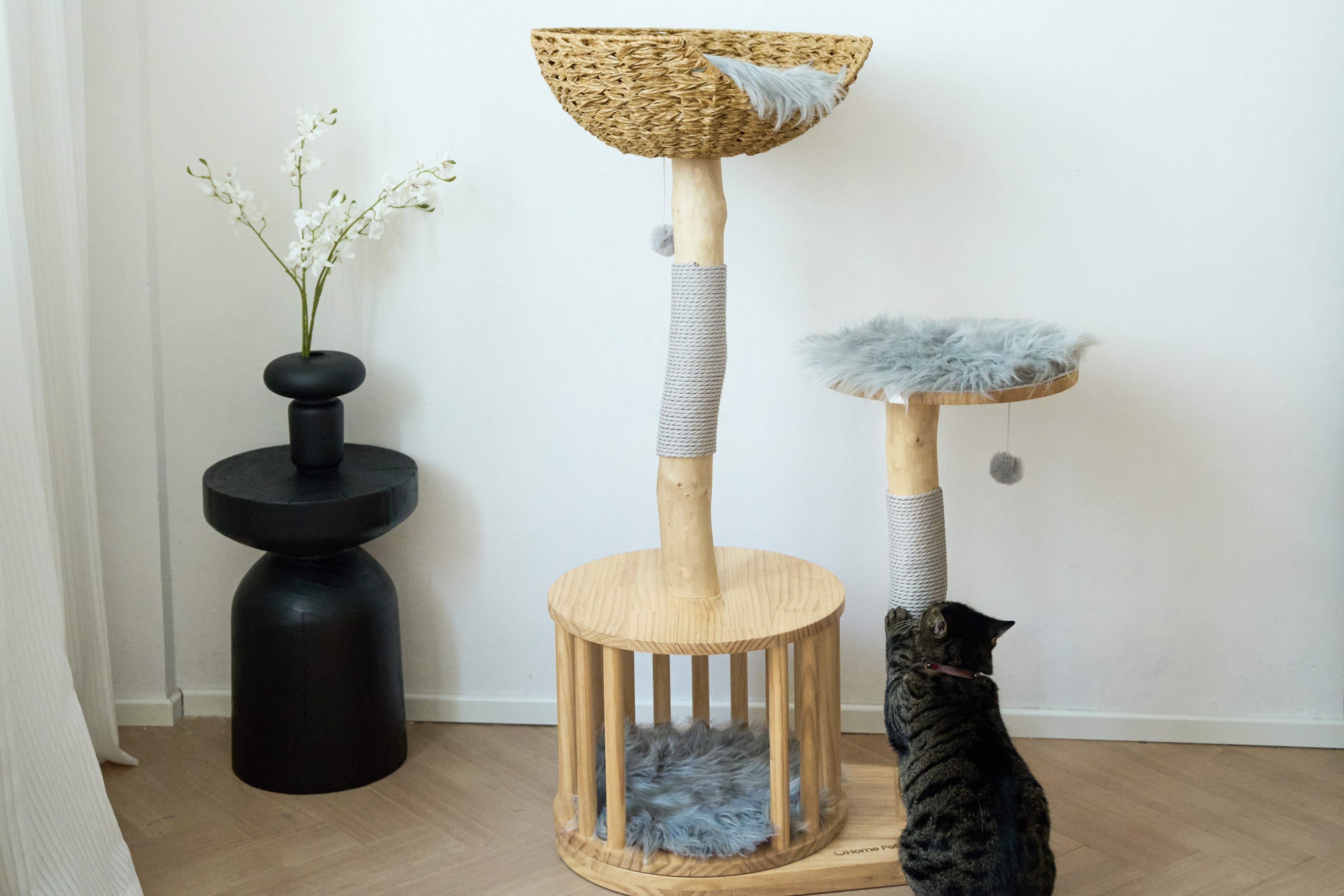 Outdoor-Inspired Cat Tree for Indoor Explorers – ArkPet