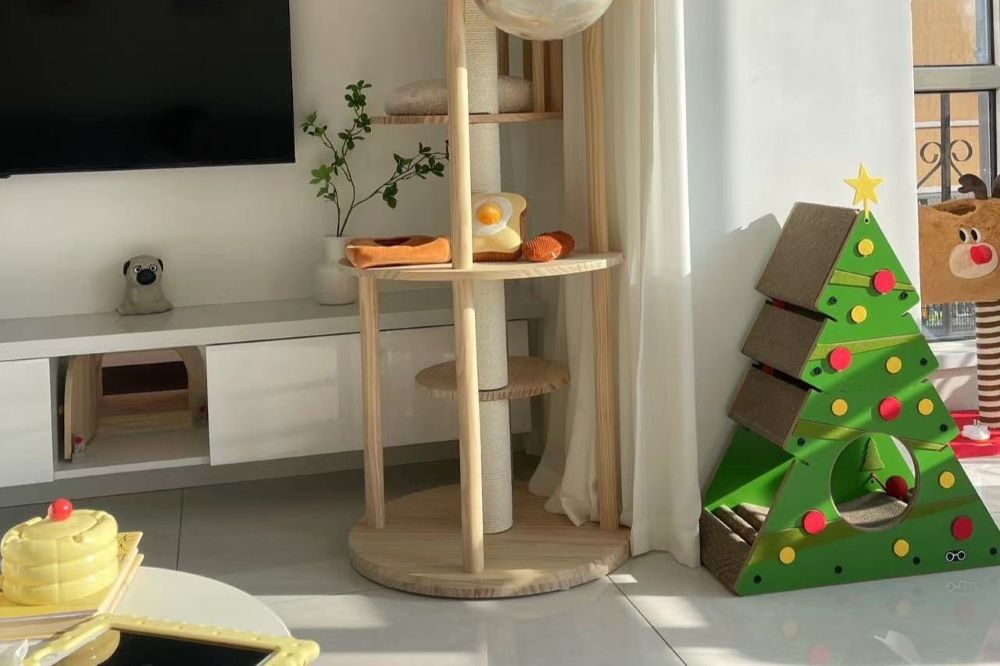 Designing a New Year Living Space That Works for You and Your Cat – ArkPet