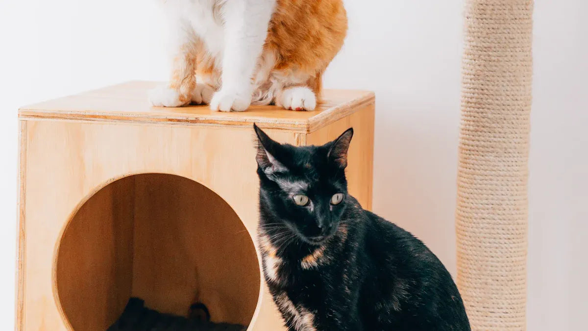 Top Cat Houses for Every Type of Cat Owner – ArkPet